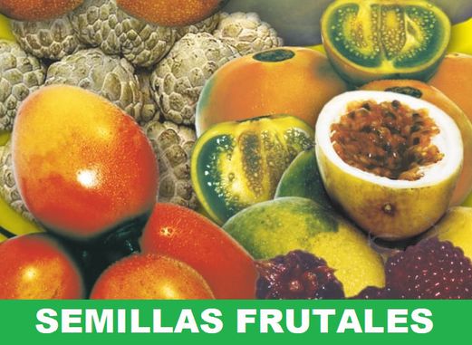 El Semillero, tienda de insumos agroforestales